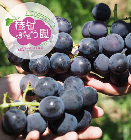 【公式】農園リゾートTHE FARM ザファーム | 農園、グランピング、サウナ、温泉で心とカラダを癒せる