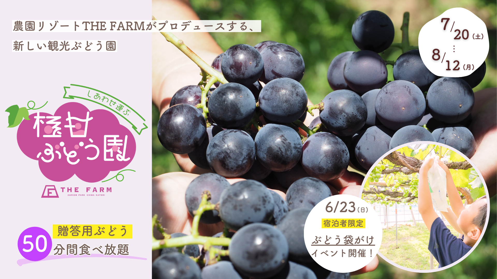 【公式】農園リゾートTHE FARM ザファーム | 農園、グランピング、サウナ、温泉で心とカラダを癒せる